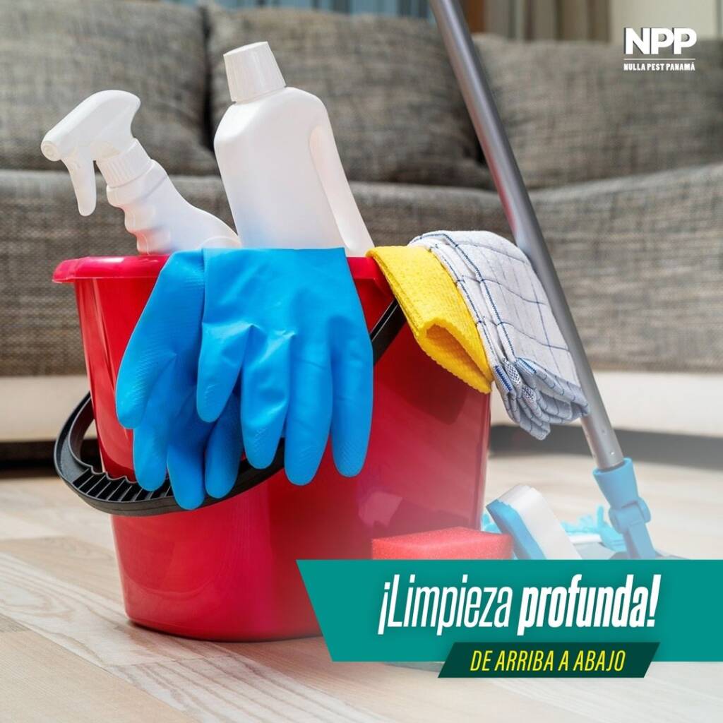 Limpieza Profunda - Nulla Pest Panama